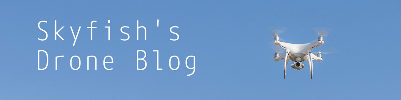 SKYFISH'S GALLERY | スカイフィッシュのフォトギャラリー